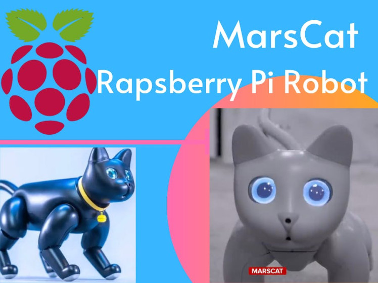 Marscat - The Ai Cat Born From Raspberry Pi